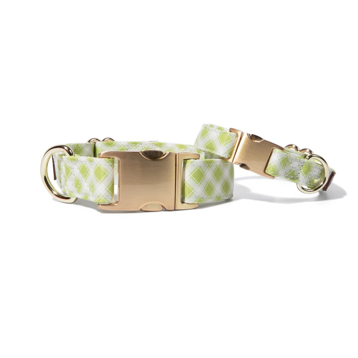 Cute Dog Collars | Bryce