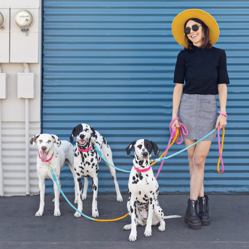 Pink Papyrus | Luxury Pet Accessories for Modern Dog Parents