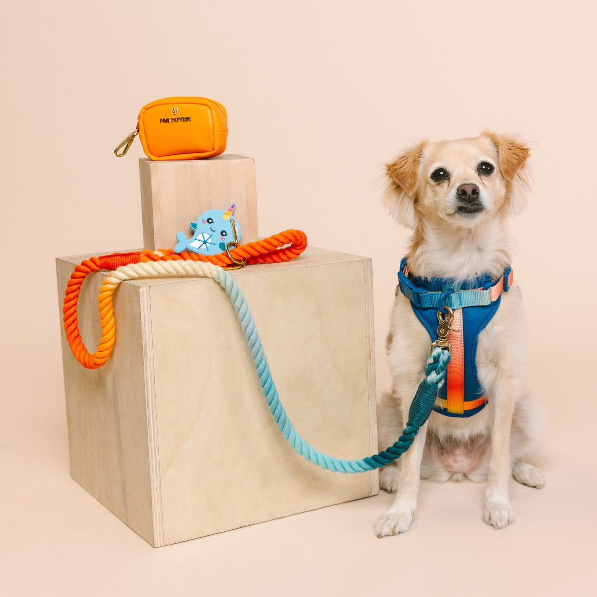 Pink Papyrus | Luxury Pet Accessories for Modern Dog Parents