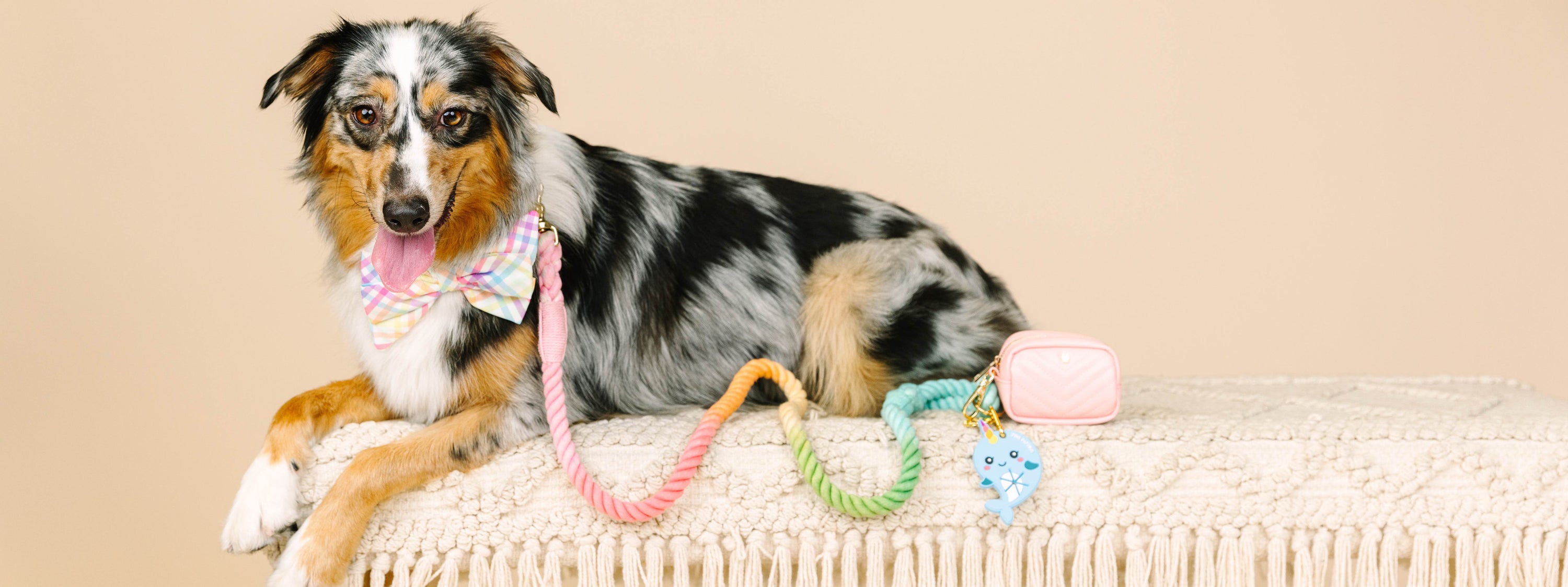 Pink Papyrus | Luxury Pet Accessories for Modern Dog Parents