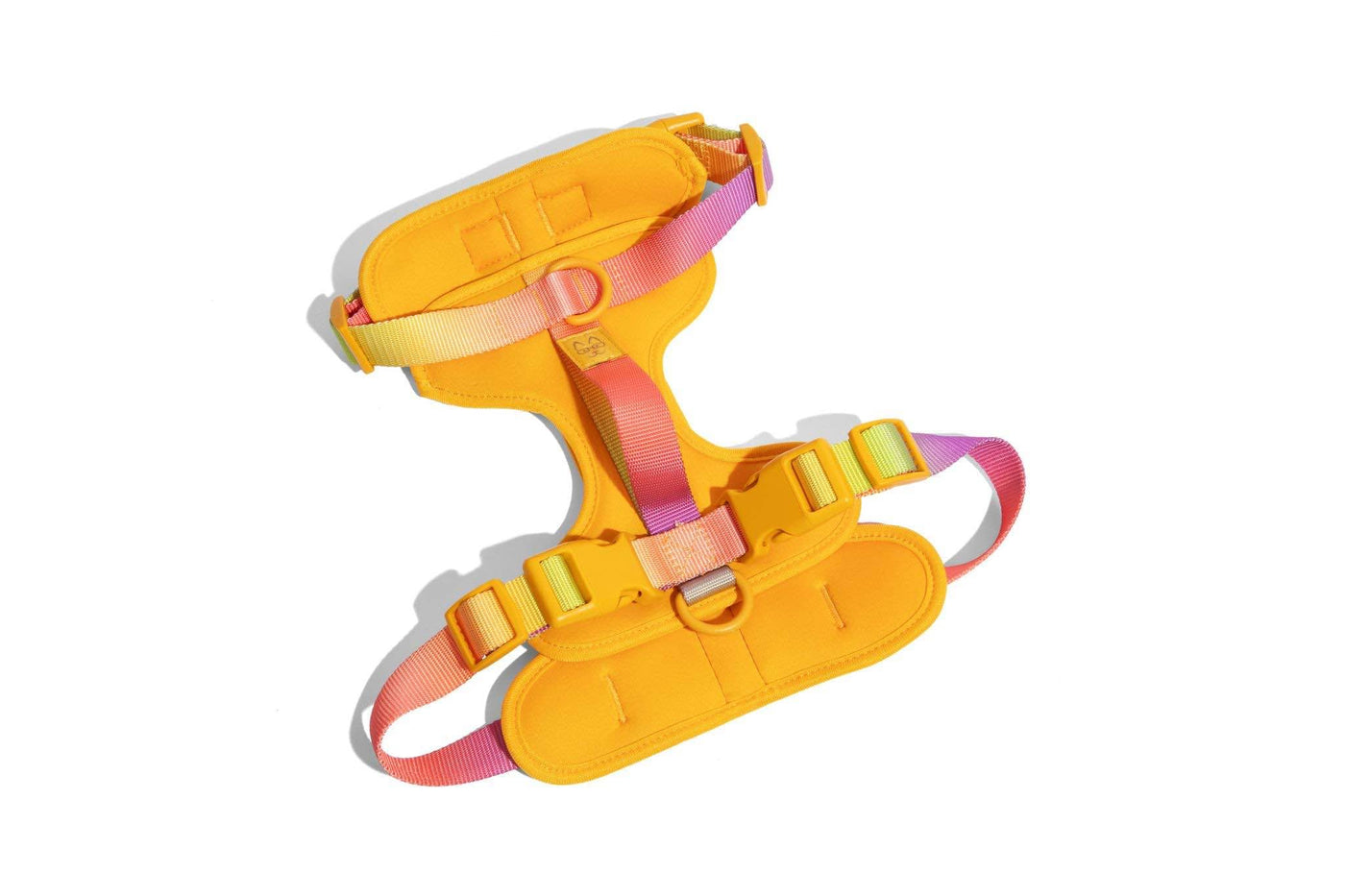 Pink Papyrus | Luxury Pet Accessories for Modern Dog Parents